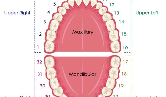 Is something wrong if you don't have 32 teeth - Dr Chauvin